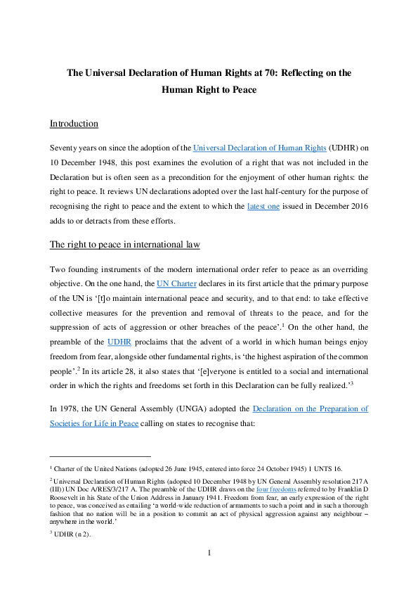 (DOC) The Universal Declaration of Human Rights at 70: Reflecting on ...