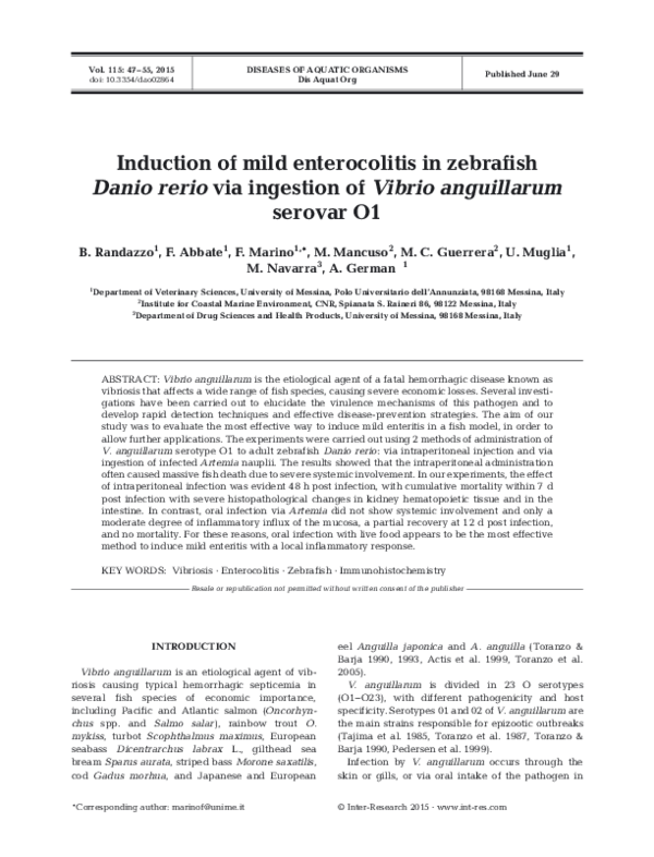 (PDF) Induction of mild enterocolitis in zebrafish Danio rerio via ...