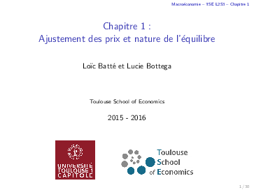 (PDF) Chapitre 1 : Ajustement des prix et nature de l'´ equilibre
