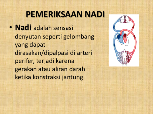 (PPT) PEMERIKSAAN-NADI