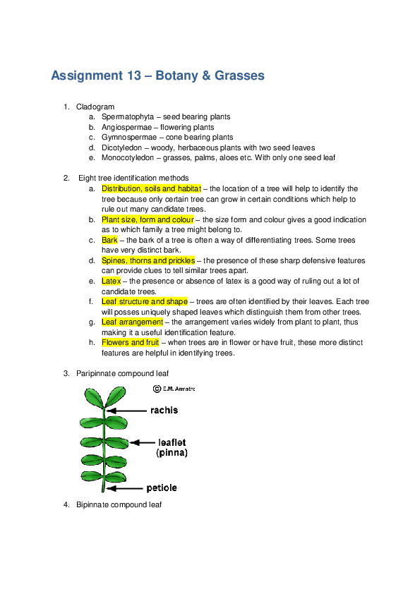 (DOC) Assignment 13 Botany and Grasses