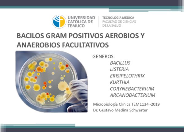 (PDF) GENEROS: BACILLUS LISTERIA ERISIPELOTHRIX KURTHIA CORYNEBACTERIUM ...