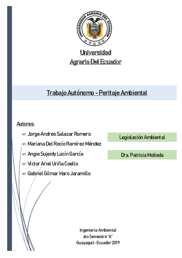 (PDF) Peritaje Ambiental Legislación Ambiental