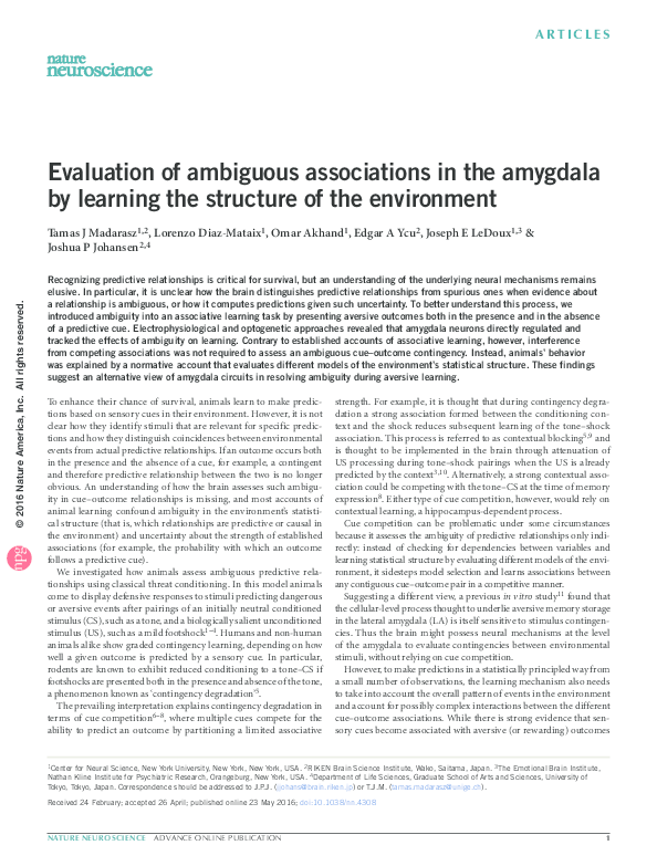 (PDF) Evaluation of ambiguous associations in the amygdala by learning ...