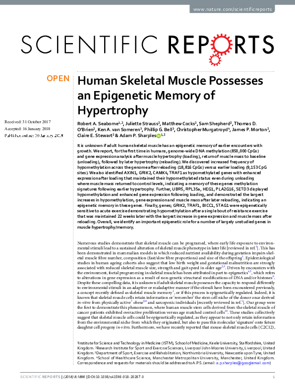 (PDF) Human Skeletal Muscle Possesses an Epigenetic Memory of Hypertrophy