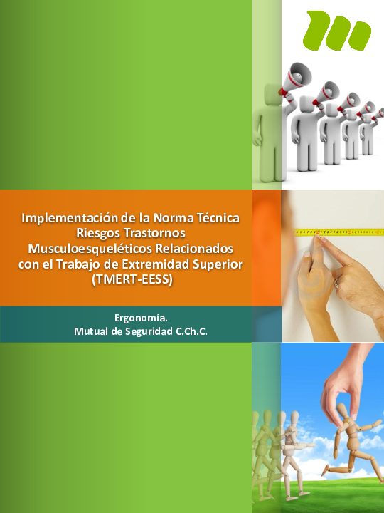 (PDF) Implementación de la Norma Técnica Riesgos Trastornos Musculoesqueléticos Relacionados con ...