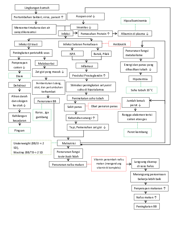 (PDF) Patofisiologi Malnutrisi