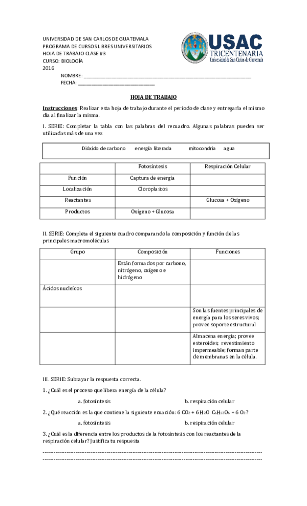 Hoja De Trabajo Con Diagrama De Respiración Celular