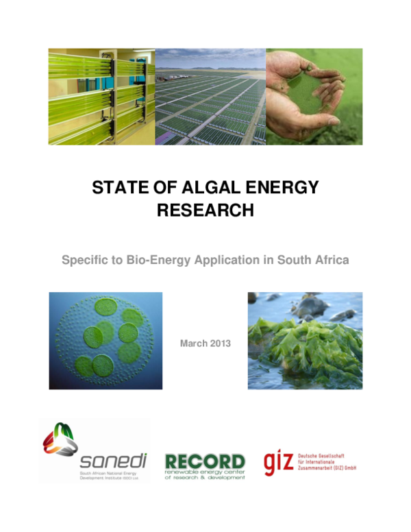(PDF) STATE OF ALGAL ENERGY RESEARCH Specific to Bio-Energy Application ...