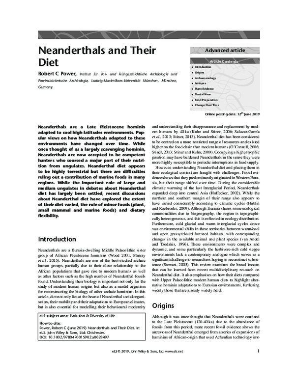 (PDF) Neanderthals and their Diet