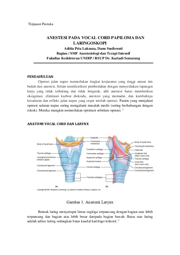 (DOC) ANESTESI PADA VOCAL CORD PAPILOMA DAN LARINGOSKOPI