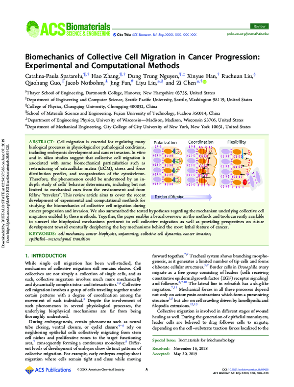 (PDF) Biomechanics of Collective Cell Migration in Cancer Progression ...