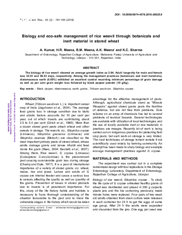 (PDF) Biology and eco-safe management of rice weevil through botanicals ...