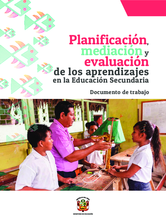 (PDF) Planificación, mediación y evaluación de los aprendizajes en la Educación Secundaria ...