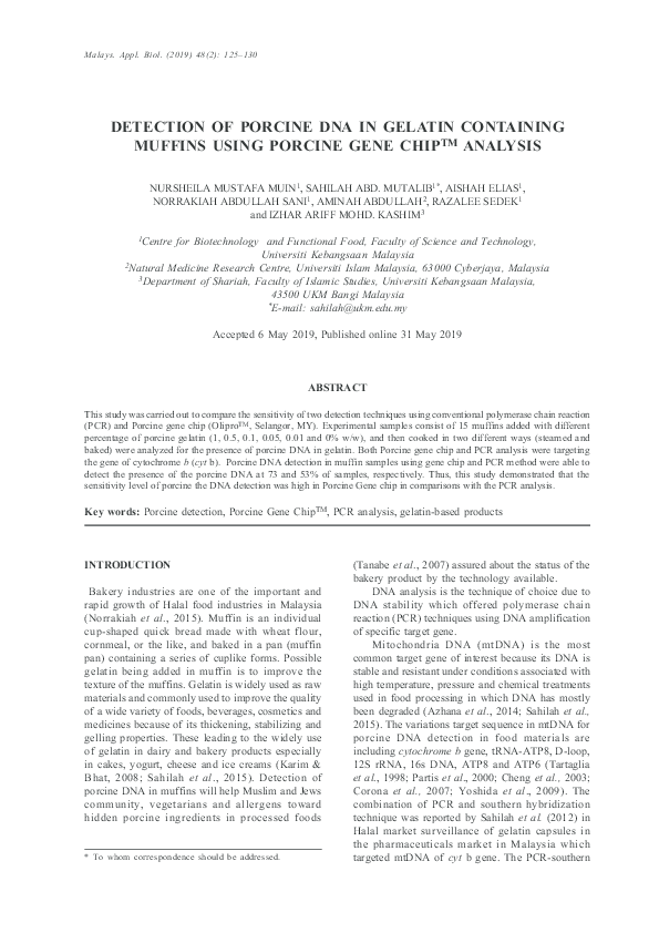 (PDF) DETECTION OF PORCINE DNA IN GELATIN CONTAINING MUFFINS USING ...