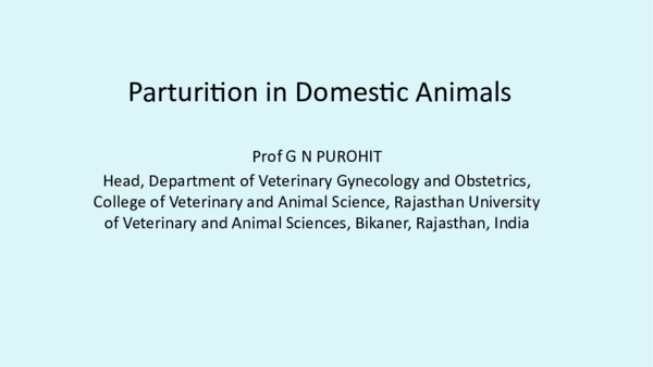 (PPT) Vet Obst Lecture 5 Parturition in domestic animals