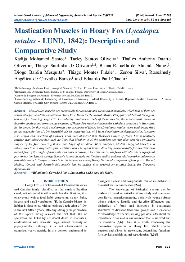 (PDF) Mastication Muscles in Hoary Fox (Lycalopex vetulus - LUND, 1842 ...