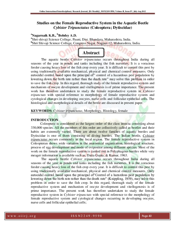 (PDF) Studies on the Female Reproductive System in the Aquatic Beetle ...