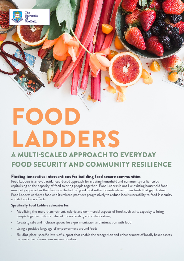 (PDF) FOOD LADDERS A MULTI-SCALED APPROACH TO EVERYDAY FOOD SECURITY ...