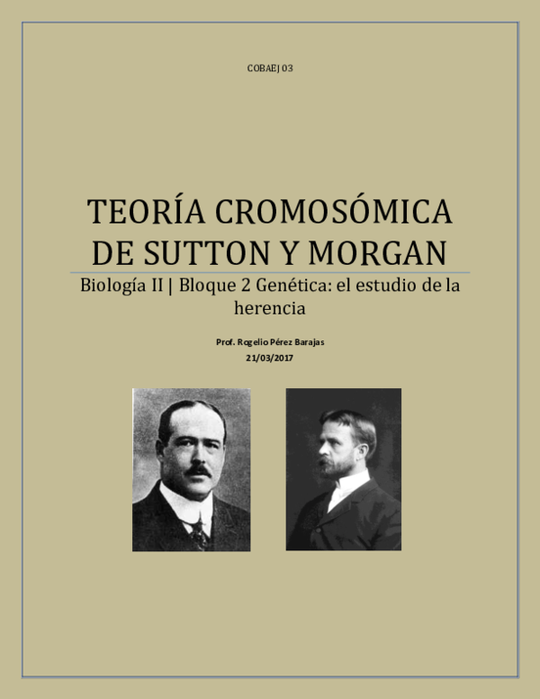 (DOC) TEORÍA CROMOSÓMICA DE SUTTON Y MORGAN Biología II | Bloque 2 ...
