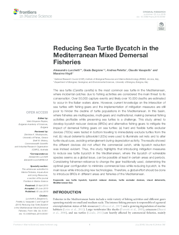 (PDF) Reducing Sea Turtle Bycatch in the Mediterranean Mixed Demersal ...