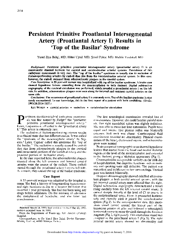 (PDF) Persistent primitive proatlantal intersegmental artery ...