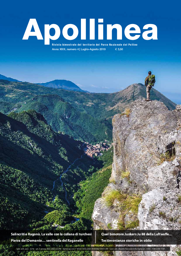 (PDF) Lungro, Firmo ed Acquaformosa nella “Pianta ichnografica […] d ...