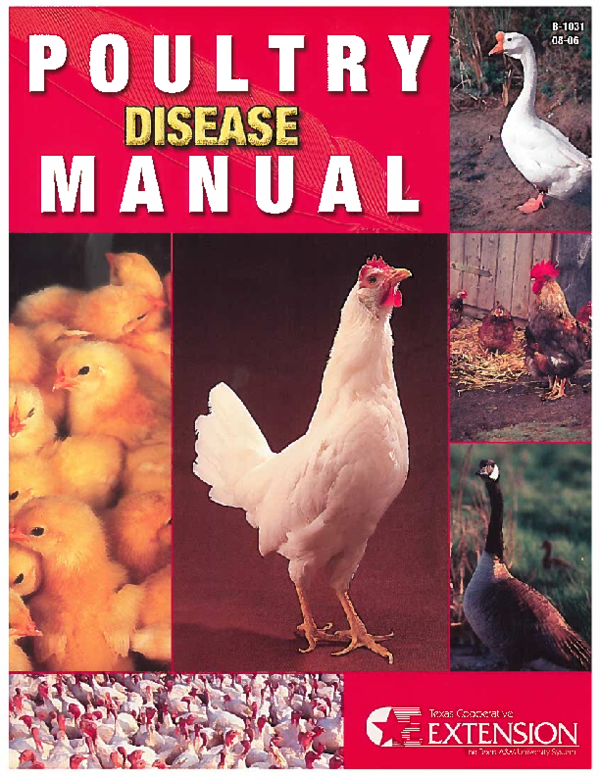 (PDF) Poultry Disease Manual