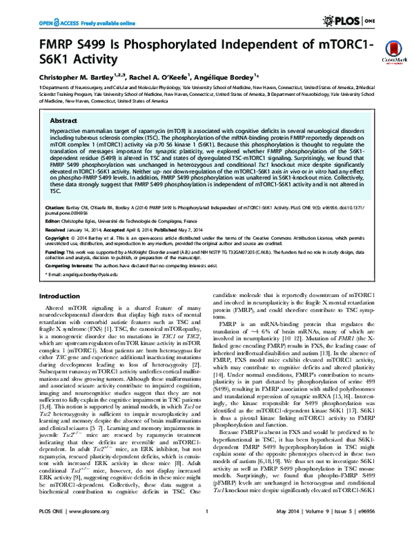 (PDF) FMRP S499 Is Phosphorylated Independent of mTORC1- S6K1 Activity