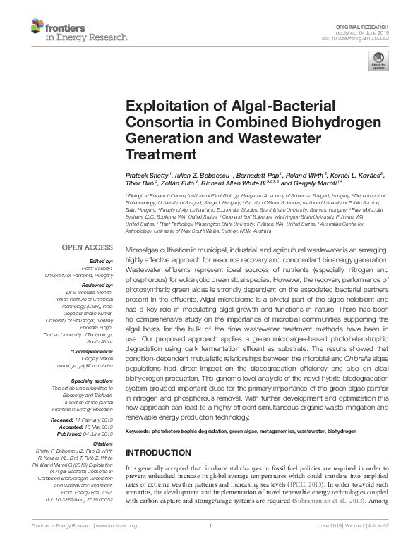 (PDF) Exploitation of Algal-Bacterial Consortia in Combined Biohydrogen Generation and ...