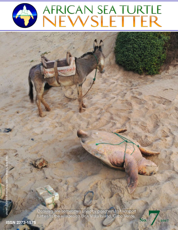 African Sea Turtle Newsletter