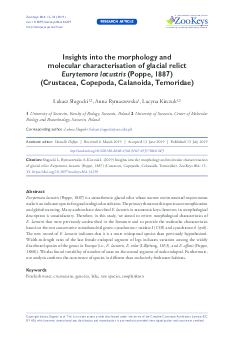 (PDF) Insights into the morphology and molecular characterisation of ...