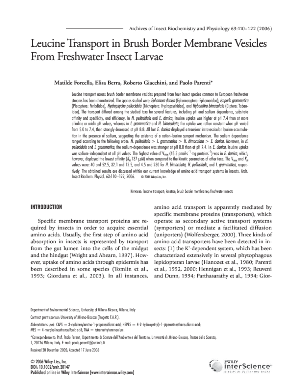 (PDF) Leucine Transport in Brush Border Membrane Vesicles From ...