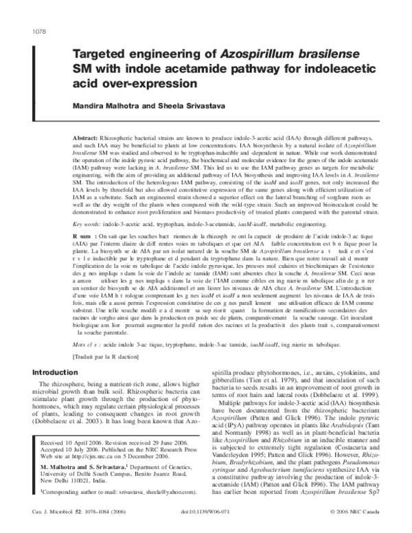 (PDF) Targeted engineering of Azospirillum brasilense SM with indole ...