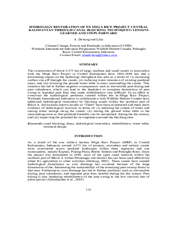 (PDF) HYDROLOGY RESTORATION OF EX MEGA RICE PROJECT CENTRAL KALIMANTAN ...