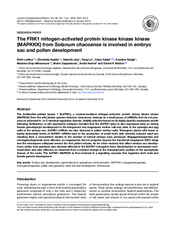 (PDF) The FRK1 mitogen-activated protein kinase kinase kinase (MAPKKK ...