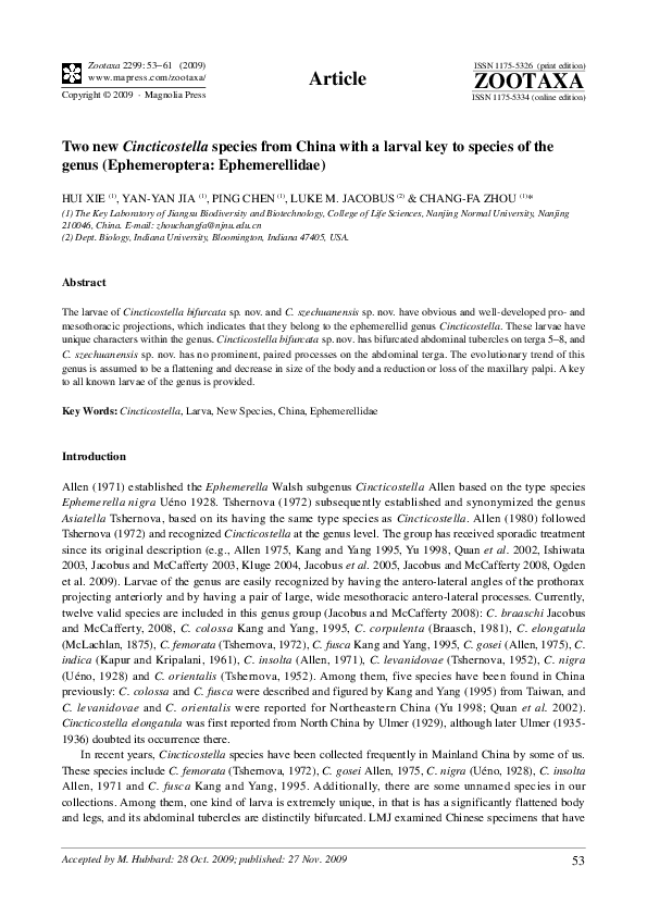 (PDF) Article Two new Cincticostella species from China with a larval ...