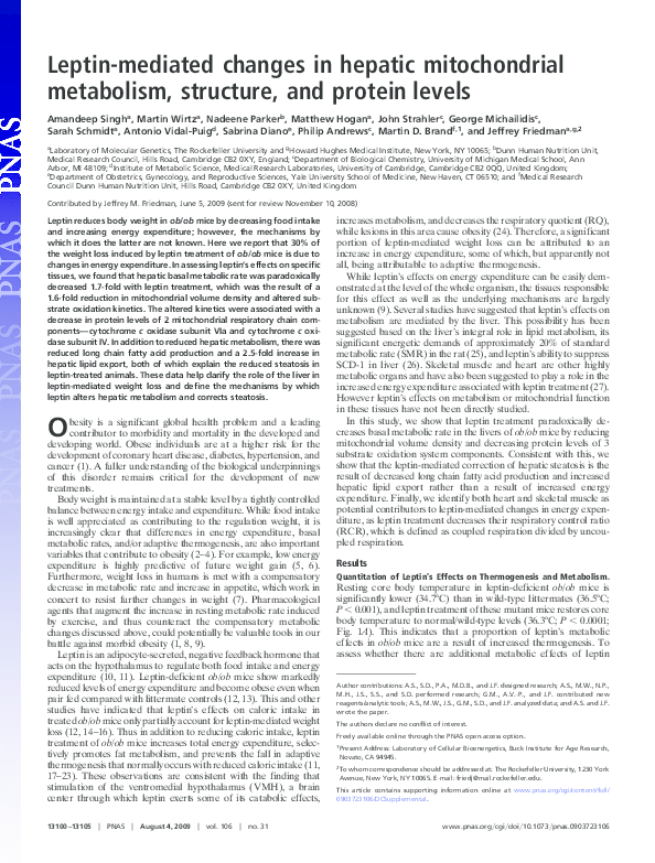 (PDF) Leptin-mediated changes in hepatic mitochondrial metabolism ...