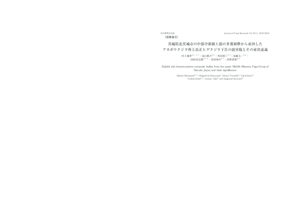 (PDF) Ziphiid and chaeomysticete tympanic bullae from the upper Middle ...