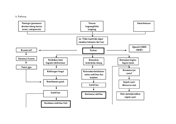 (DOC) Pathway fraktur