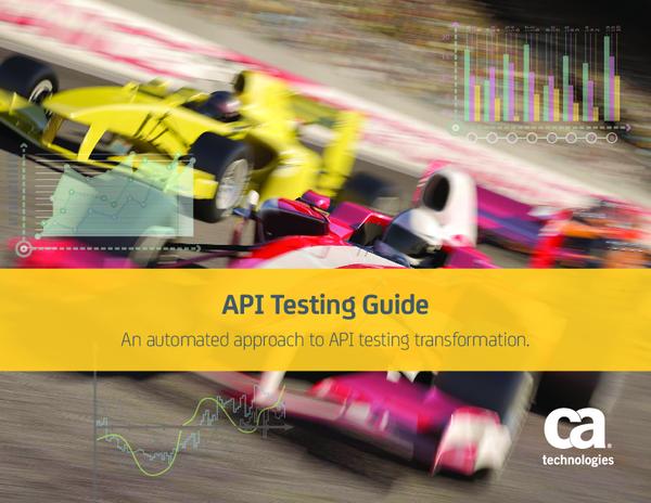 (PDF) API Testing Guide