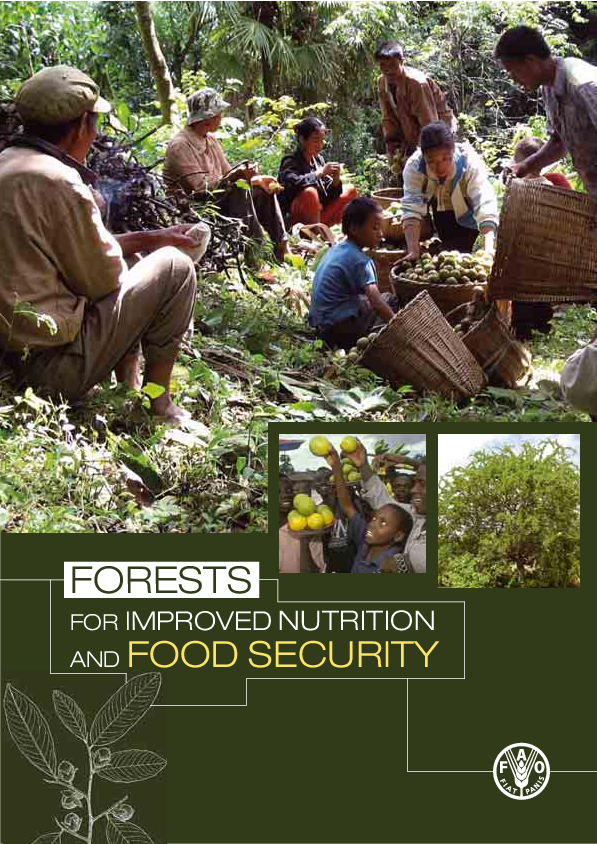 (PDF) FORESTS FOR IMPROVED NUTRITION AND FOOD SECURITY