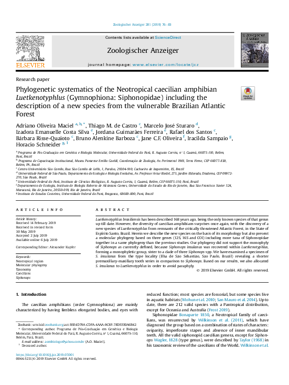 (PDF) Phylogenetic systematics of the Neotropical caecilian amphibian ...