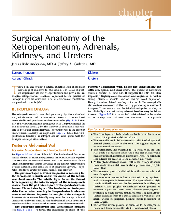(PDF) - Surgical Anatomy of the Retroperitoneum, Adrenals, Kidneys, and ...