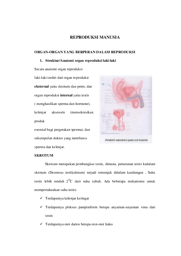 (PDF) REPRODUKSI MANUSIA ORGAN-ORGAN YANG BERPERAN DALAM REPRODUKSI 1 ...