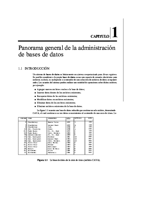(PDF) Panorama general de la administración de bases de datos 1.1 INTRODUCCIÓN