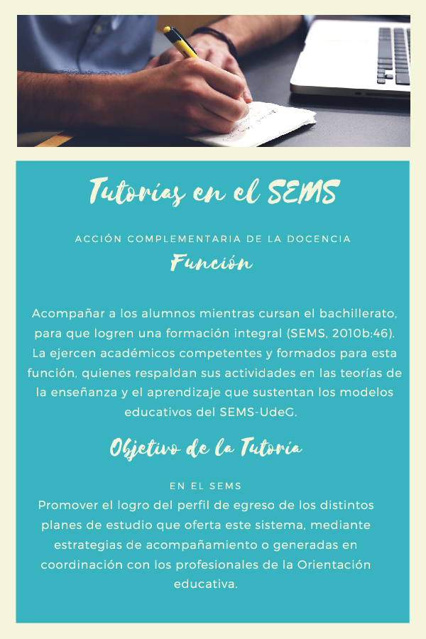(PDF) Infografia perfil del tutor