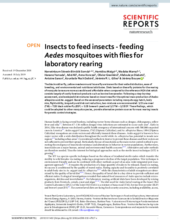 (PDF) insects to feed insects -feeding Aedes mosquitoes with flies for ...