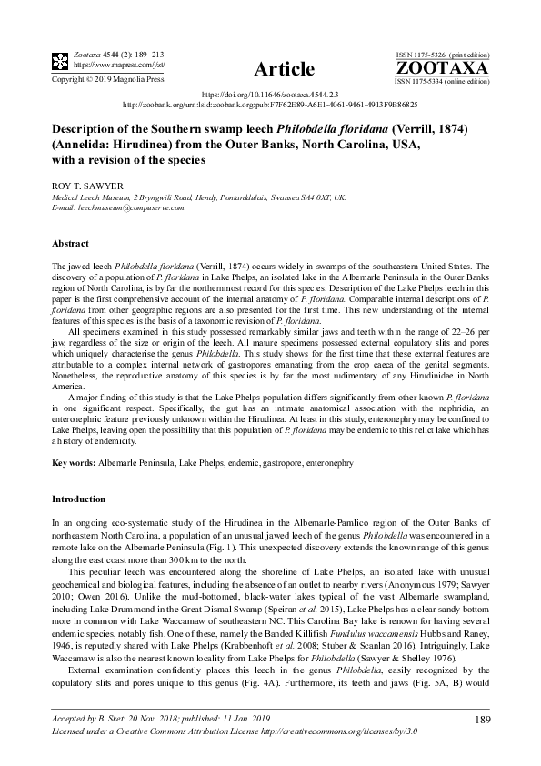 (PDF) Description of the Southern swamp leech Philobdella floridana ...