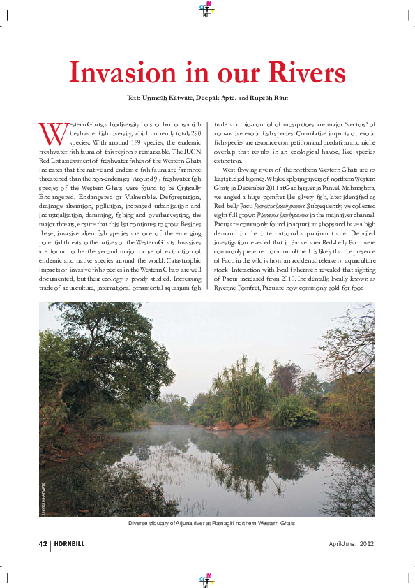 (PDF) Invasion in our Rivers
